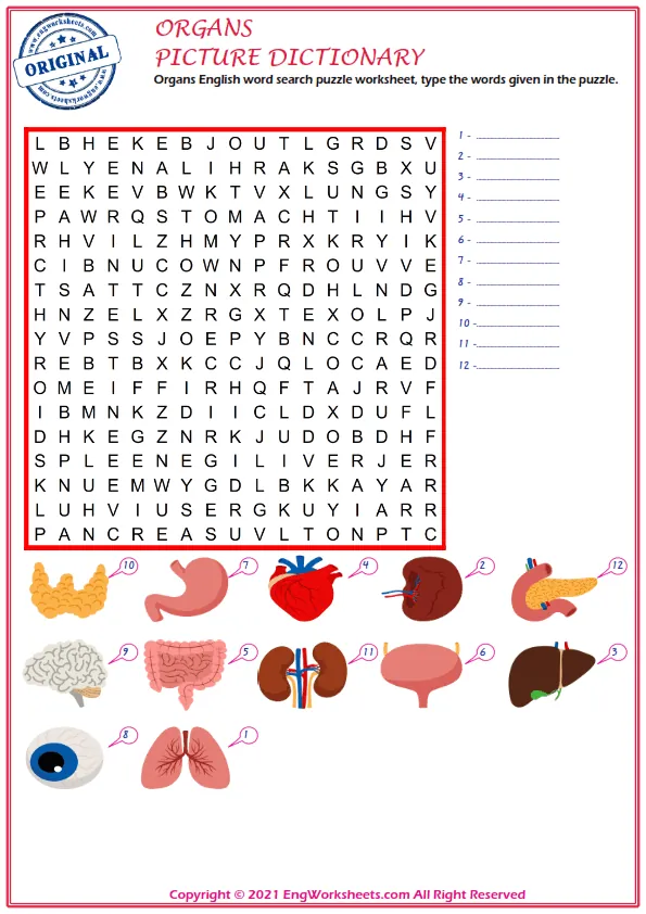 Organs English word search puzzle worksheet, type the words given in ...
